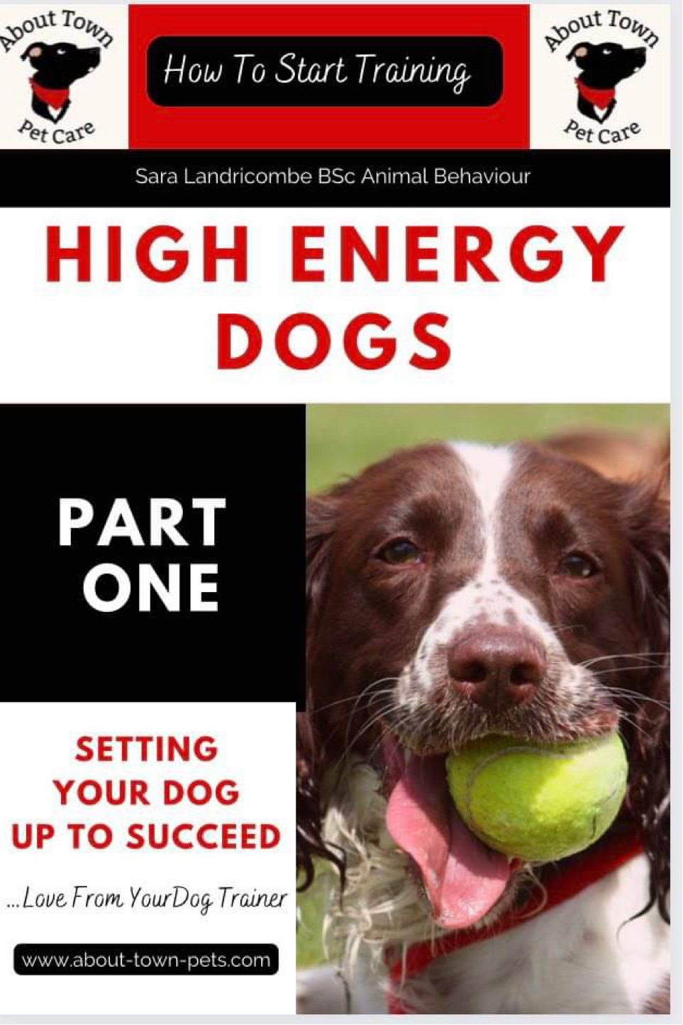 Training High Energy Dogs – About Town Pets